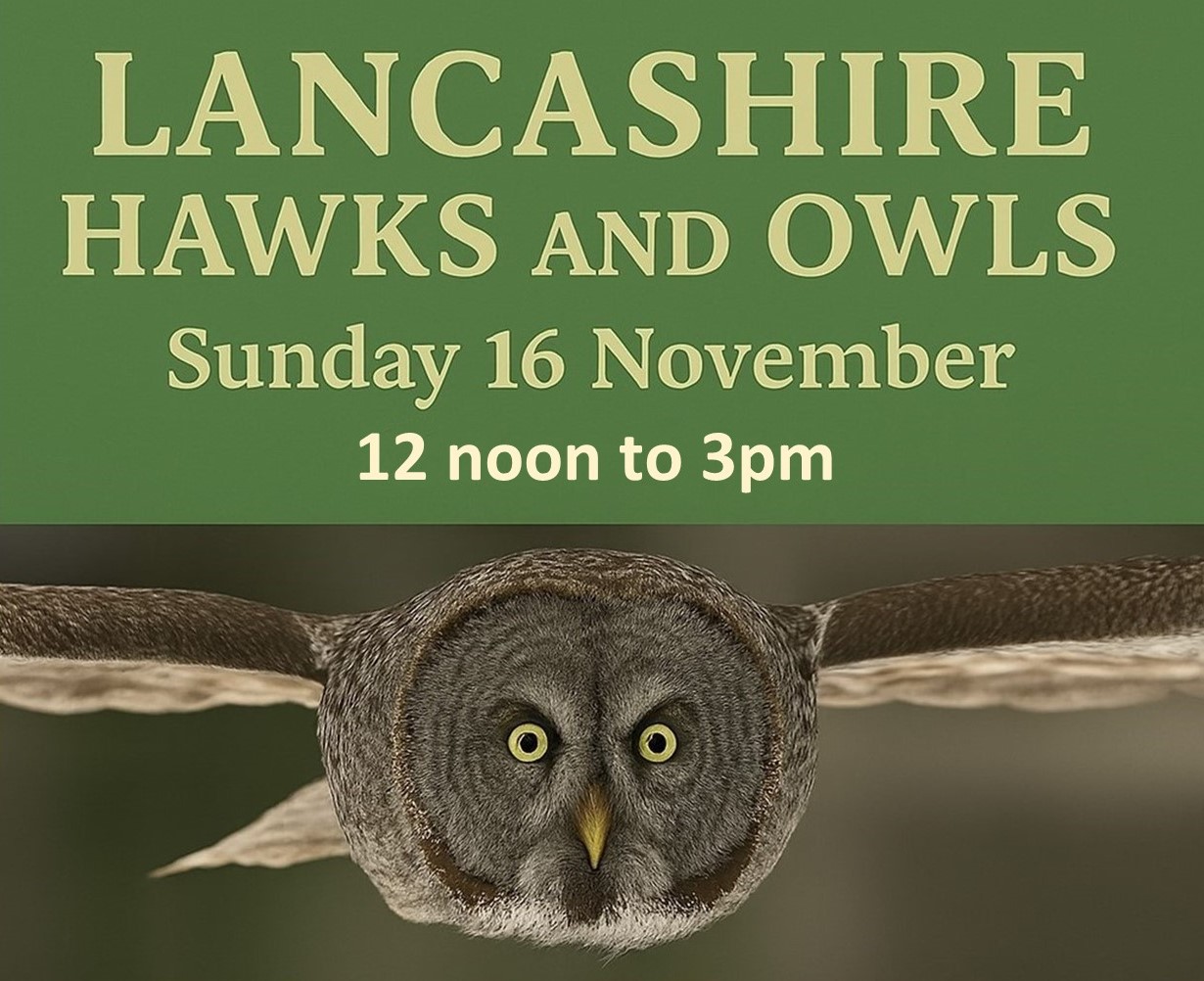 Visit Clitheroe : Clitheroe Torchlight Procession - 11 Oct 2025